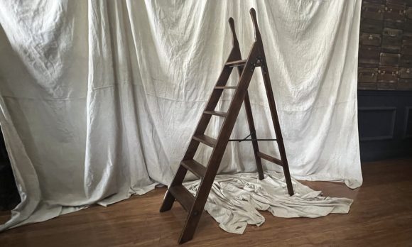 Simplex 6 Step A-Frame Ladder | quintessential duckeggBLUE